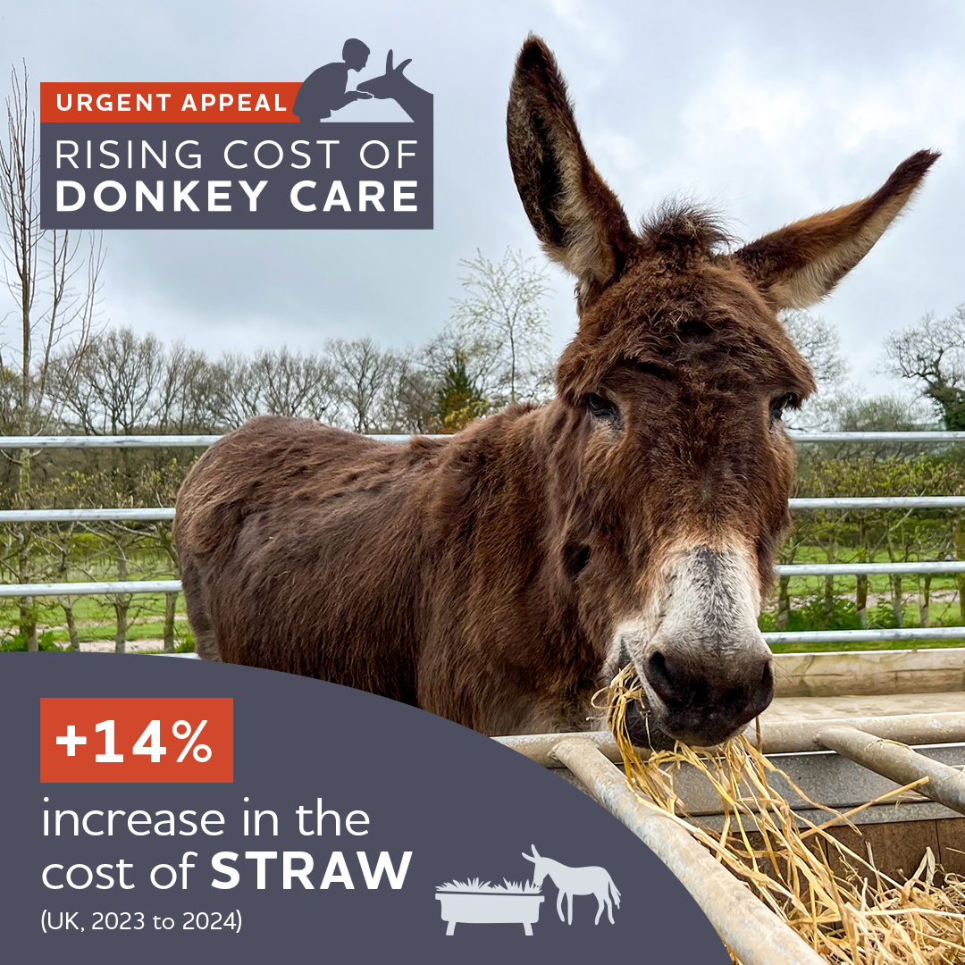 The Donkey Sanctuary Sidmouth