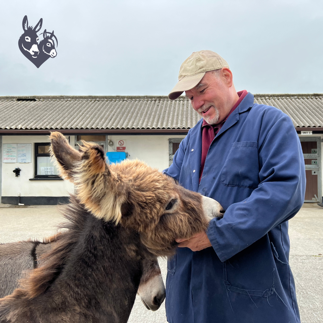 The Donkey Sanctuary Ireland