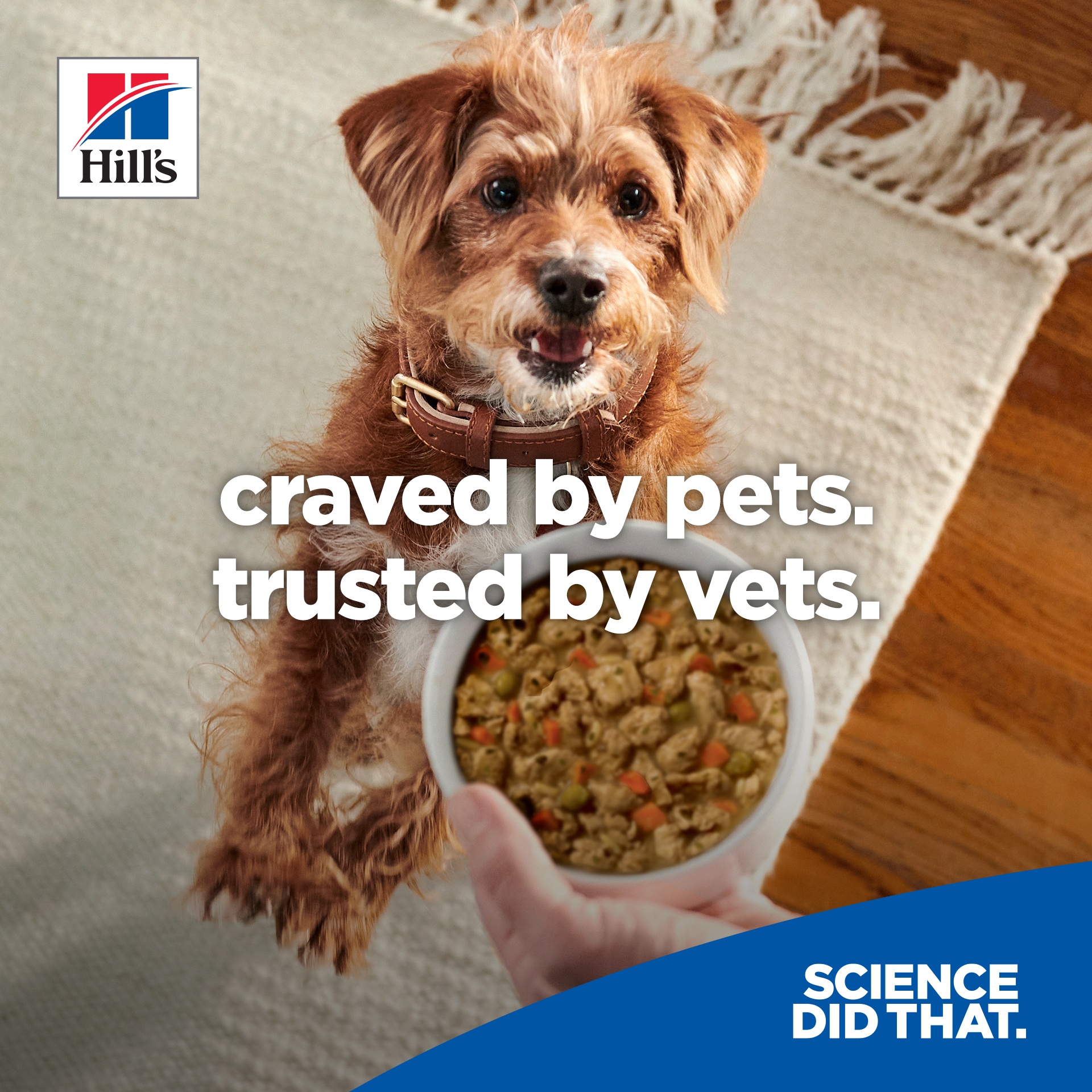Hill's Pet Nutrition